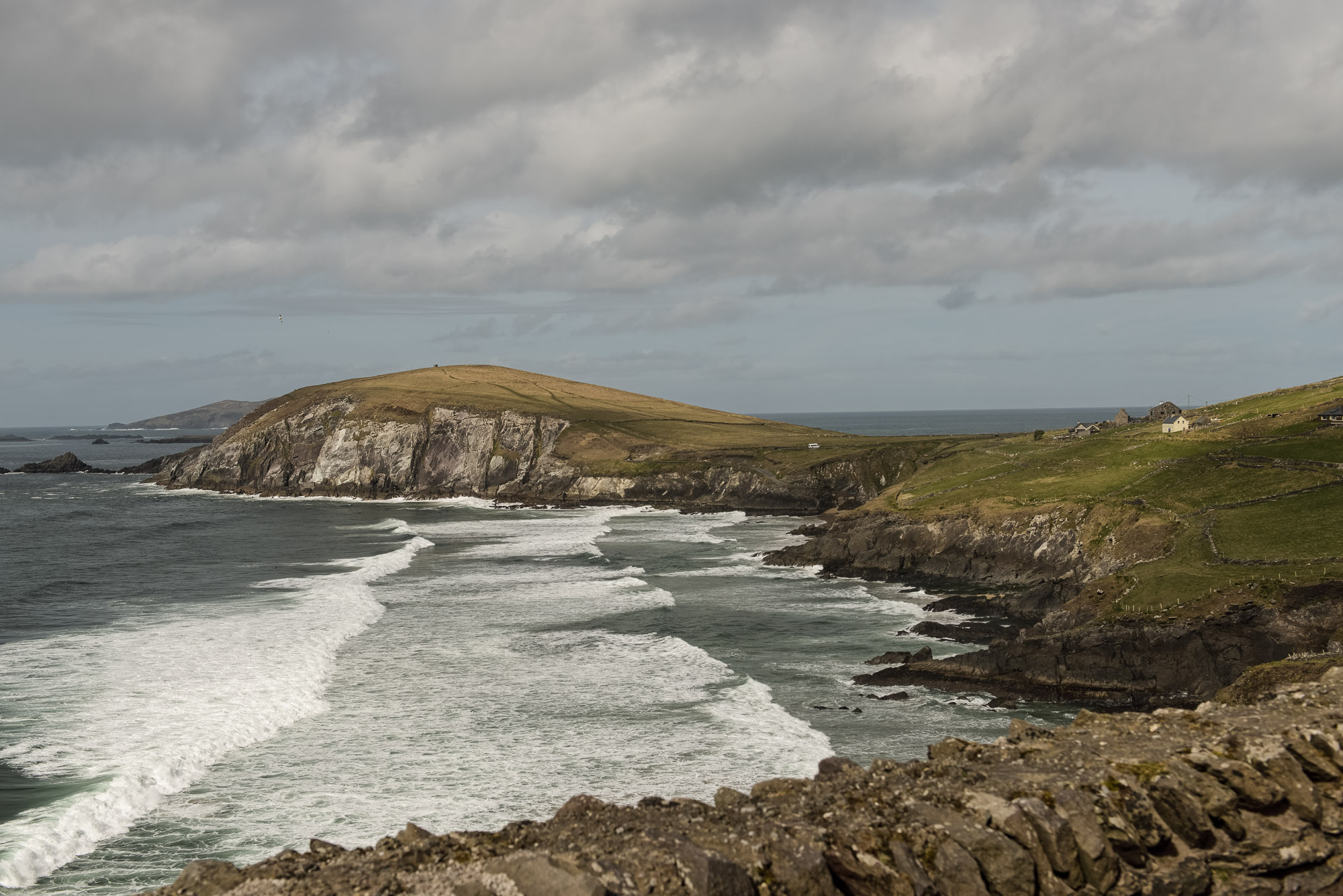 A week in the Irish Countryside - Ross Feighery Photography
